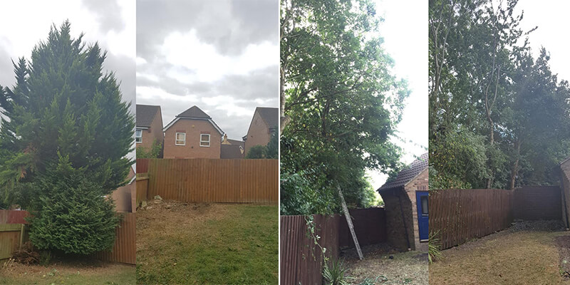 Cutting Back Overhanging Limbs and Full Tree Removal