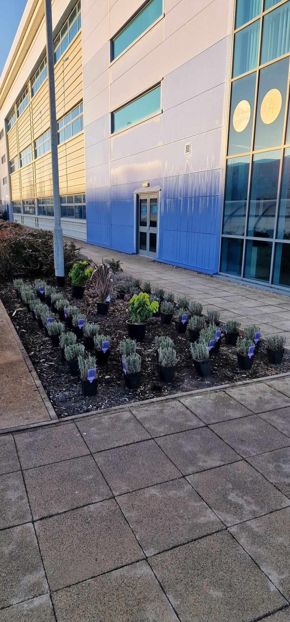 Planting Scheme, Magna Park - Neal Landscapes
