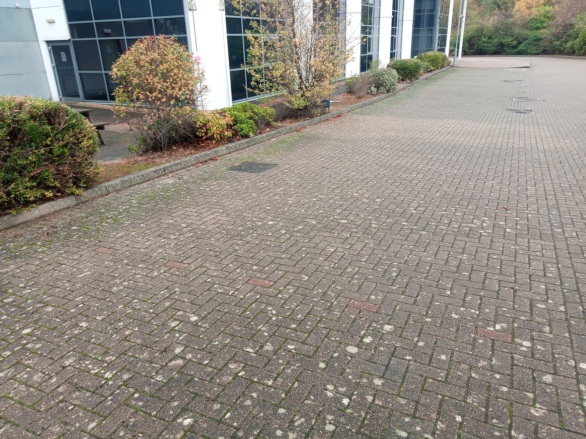 Chemical-Free Moss Cleaning, Milton Keynes - Neal Landscapes