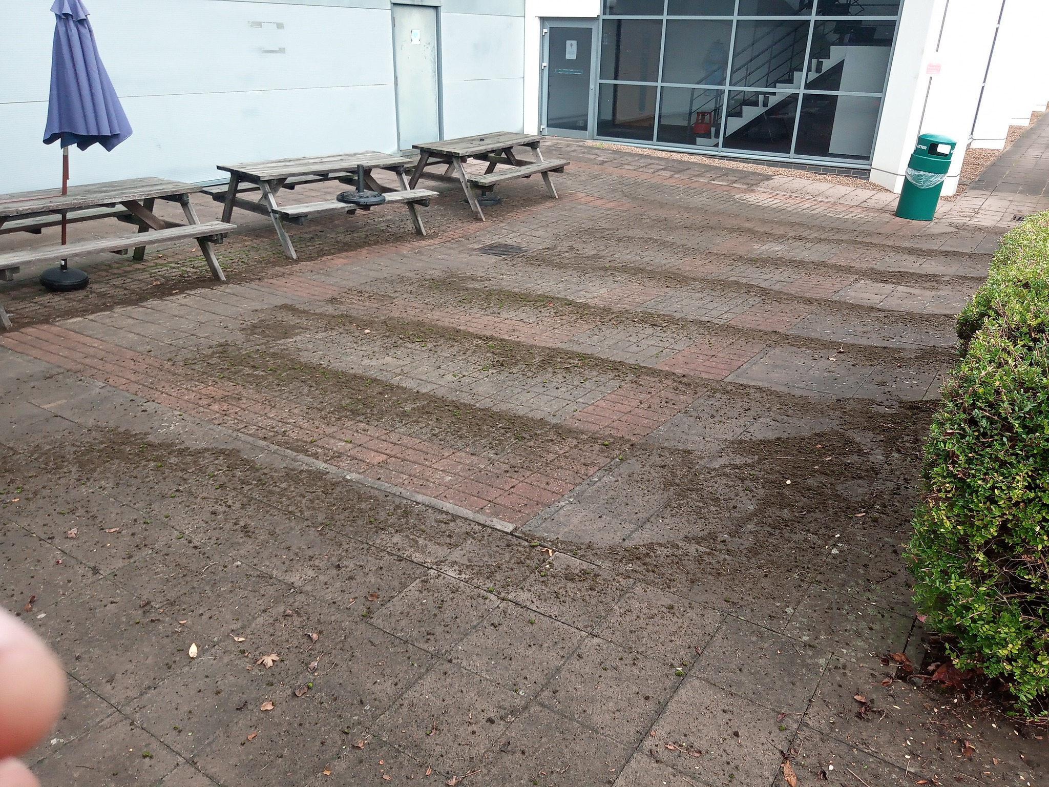 Chemical-Free Moss Cleaning, Milton Keynes - Neal Landscapes