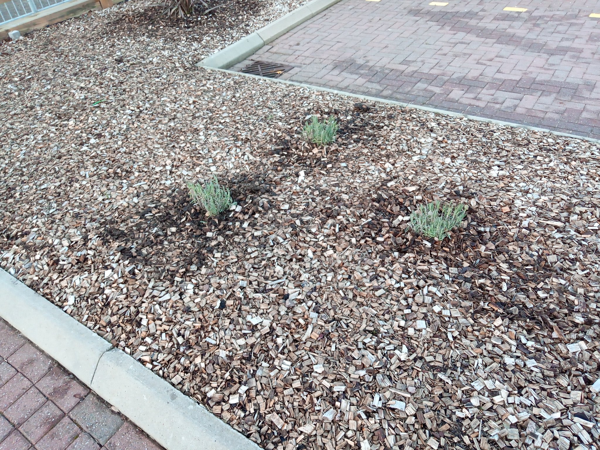 Planting Scheme, Milton Keynes - Neal Landscapes
