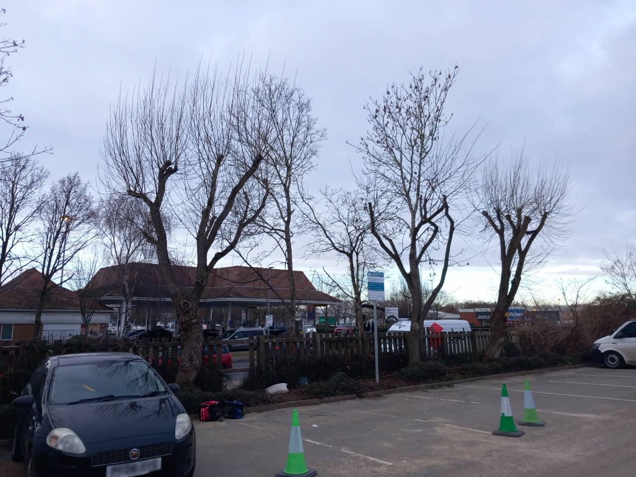Commercial Landscaping Of Willow Trees In Milton Keynes