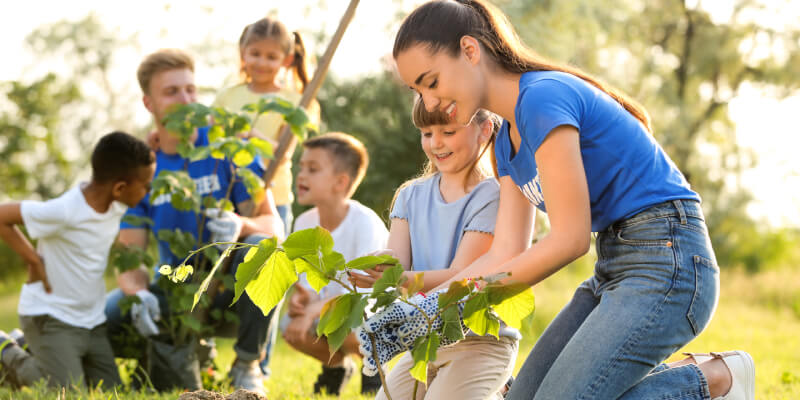 What Is The Importance Of Planting Trees In Schools